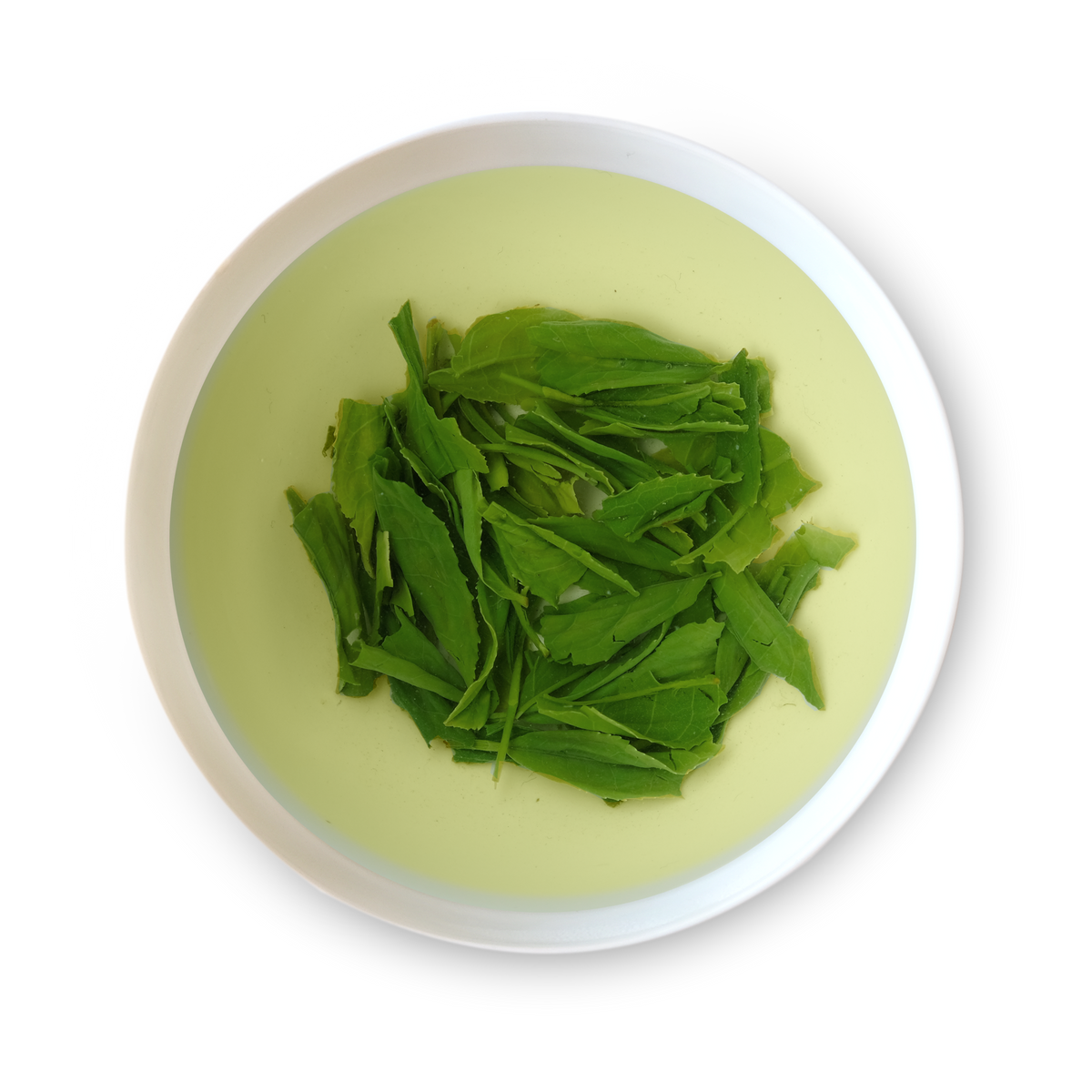 Japanese Organic Green Tea - Premium Midori First Flush – NATURALITEA