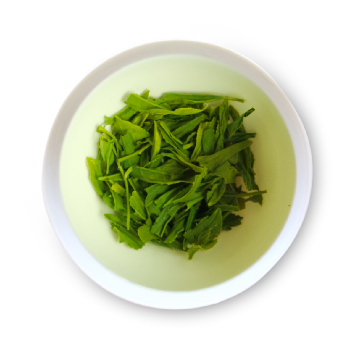 Japanese Organic Tea - Yabukita Midori First Flush – NATURALITEA